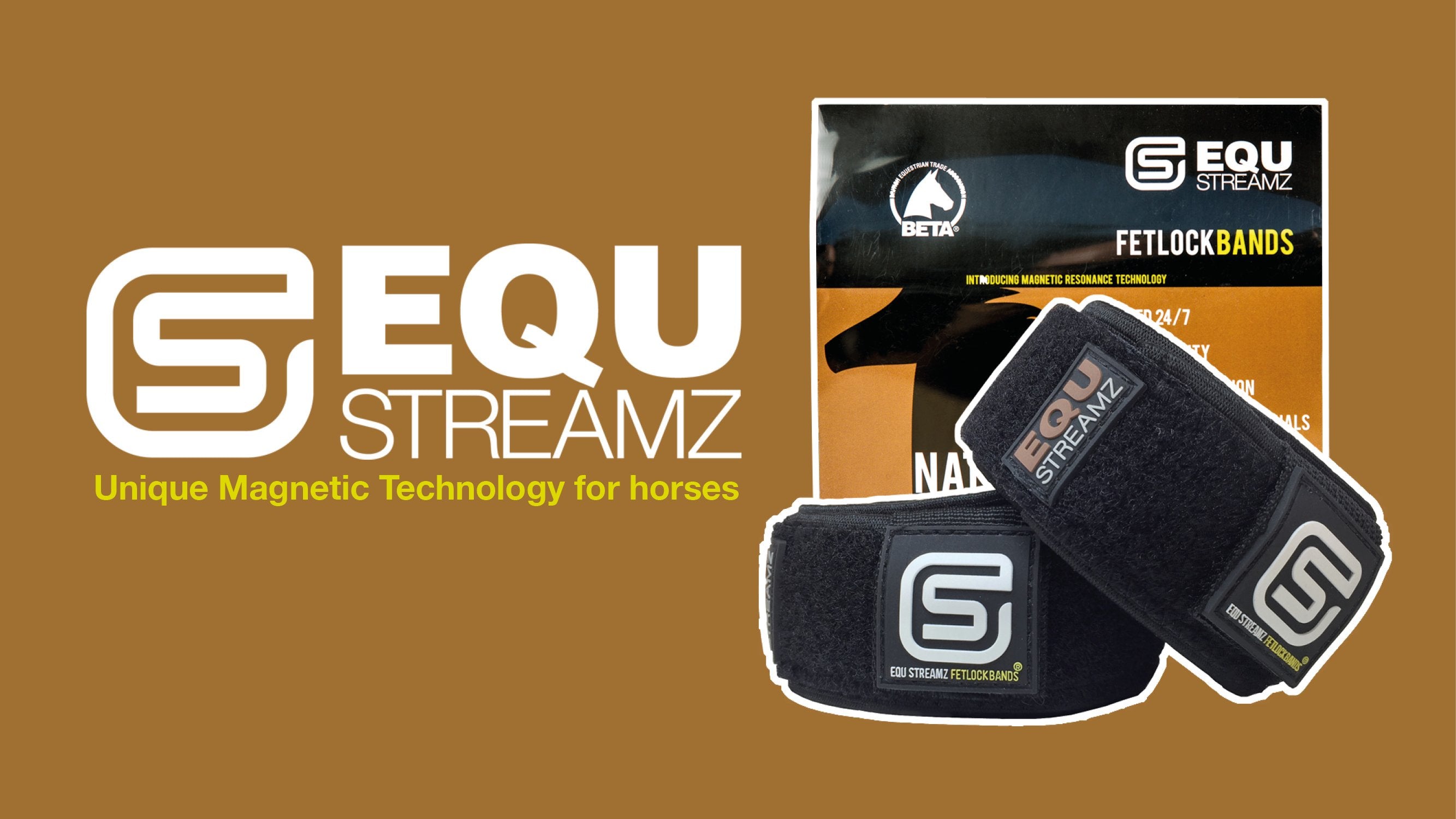 Life Is Currently Very Different | How can EQU StreamZ horse bands hel – StreamZ (USA)