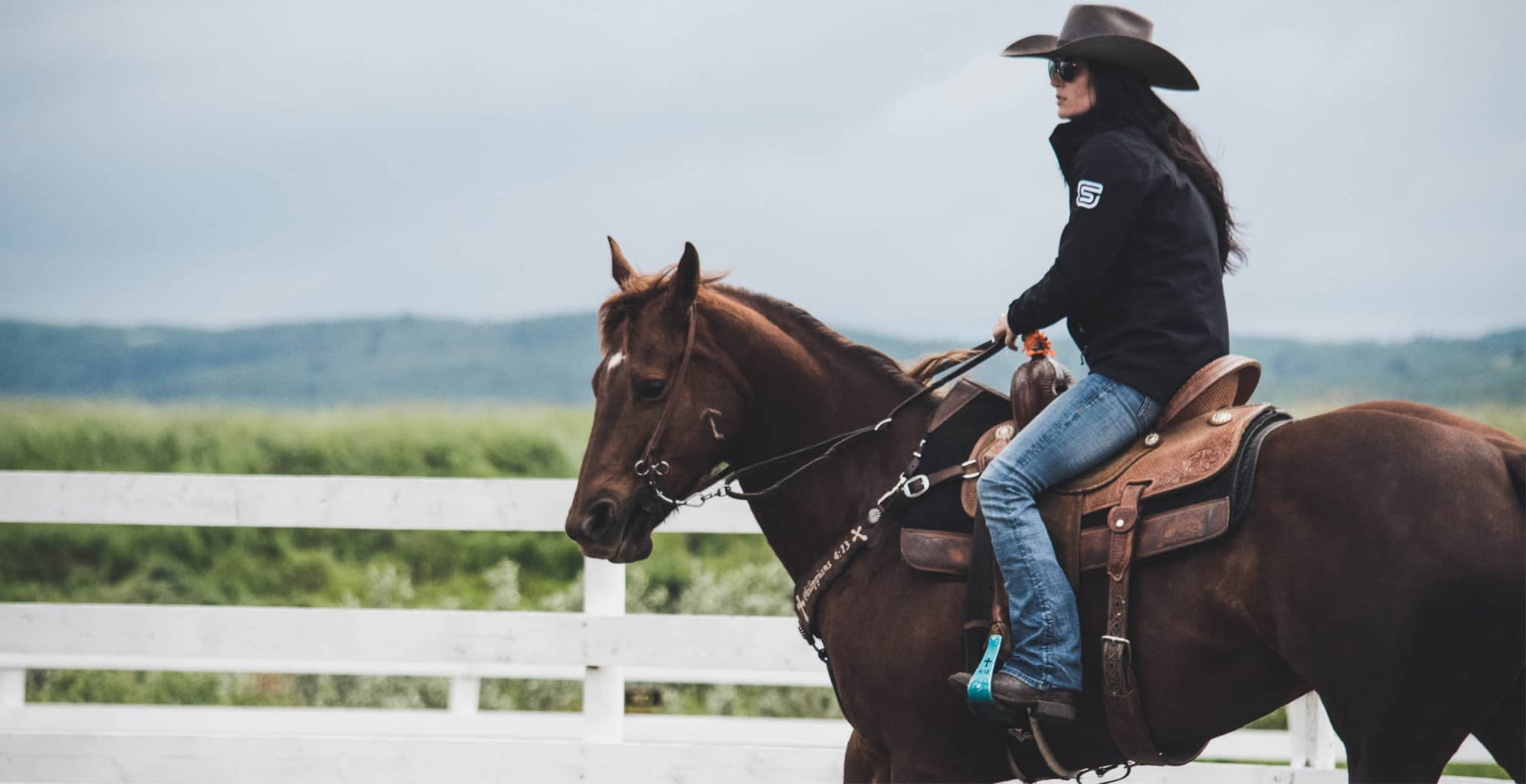 Windgalls in Horses | Symptoms, Causes & Treatments – StreamZ (USA)