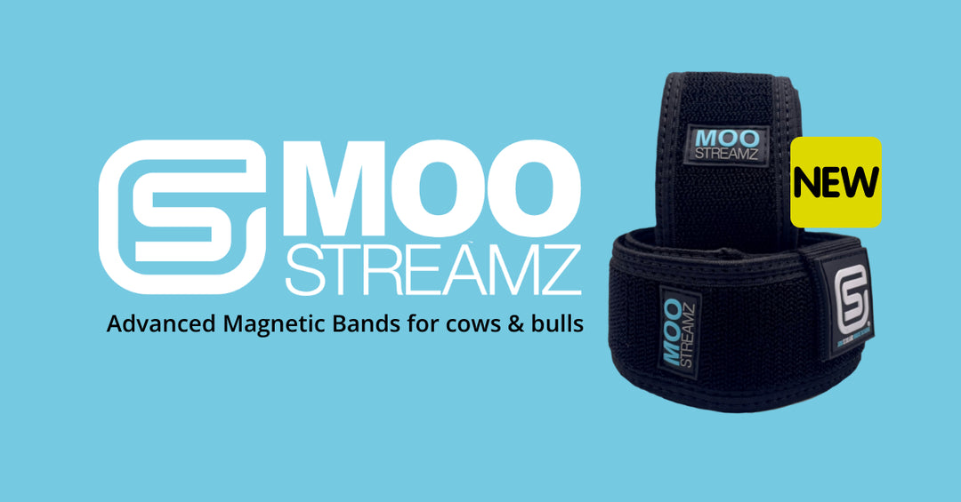 MOO StreamZ Magnetic Bands – StreamZ (USA)